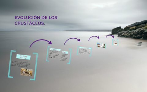 EVOLUCIÓN DE LOS CRUSTACEOS. by Daniela Marin P on Prezi