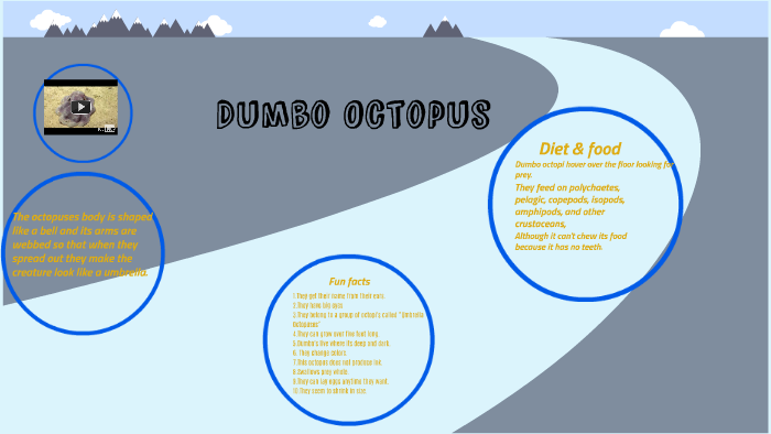 Dumbo Octopus Presentation by dumbo lover335 on Prezi