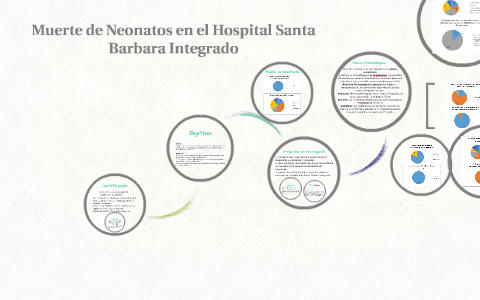 Muerte de Neonatos en el Hospital Santa Barbara Integrado by Daisy ...