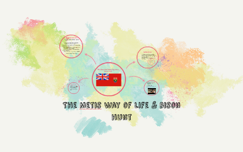 The Metis Way of life & bison hunt by Par Kang on Prezi