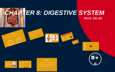 CHAPTER 8: DIGESTIVE SYSTEM by Med Term Project on Prezi