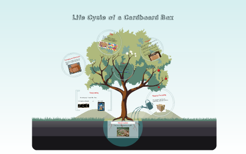 Life Cycle of a Cardboard Box by Delia MacLaughlin on Prezi
