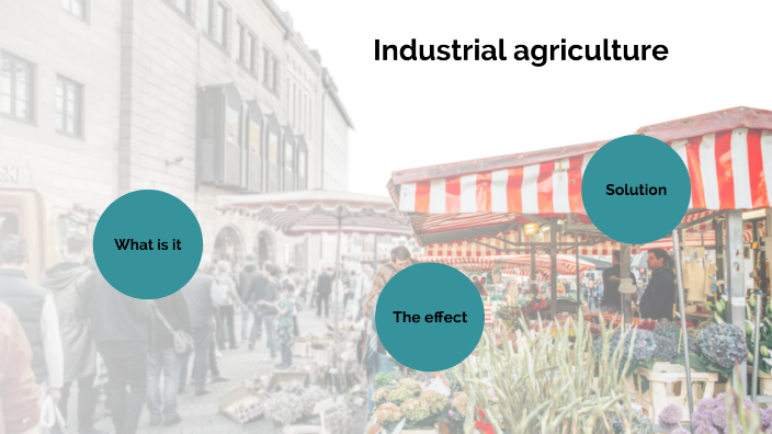 industrial agriculture by Jesse nye on Prezi