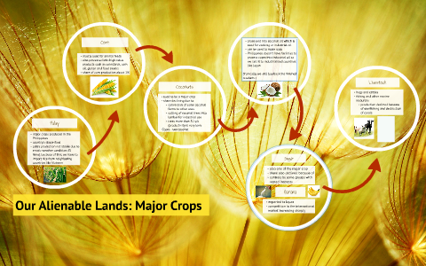 Our Alienable Lands: Major Crops by Llenard Nunag on Prezi