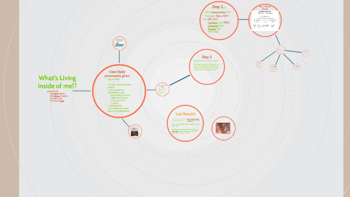 What's Living inside of me!? by Brandon Moton on Prezi