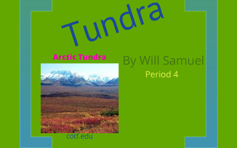 tundra biome presentation by NPMS Student on Prezi