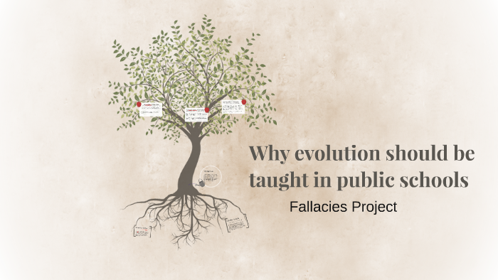 Why evolution by Stephen Calverley