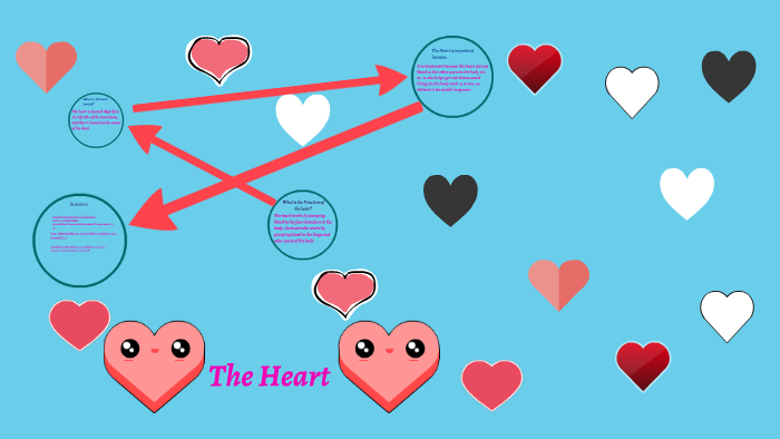 The Heart by georgia ketchum on Prezi