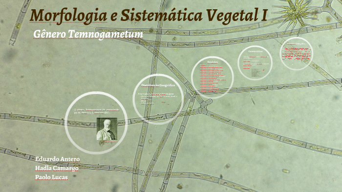 Morfologia e Sistemática Vegetal I by Paolo Lucas on Prezi