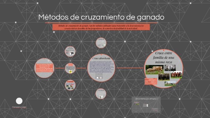 Tipos de cruzamientos by Maria BetZa on Prezi
