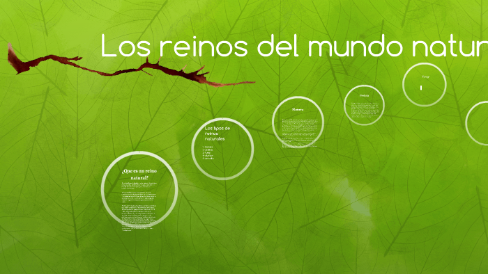 Los reinos del mundo natural by cristian alejandro mendez sanchez on Prezi
