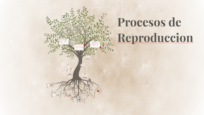 Procesos de Reproduccion by Arely Hernandez on Prezi