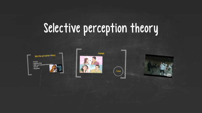 Selective perception theory by Mayke Heijmans on Prezi