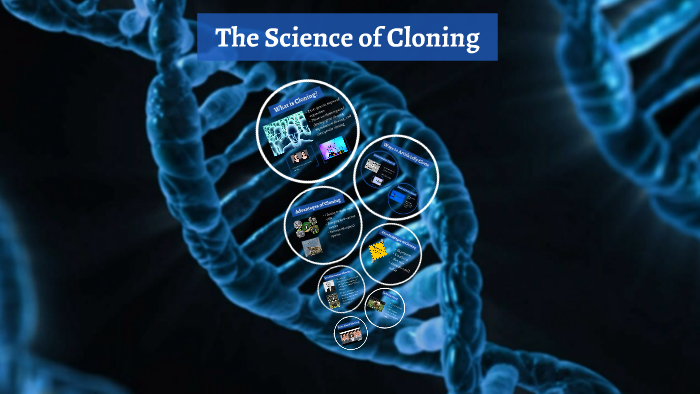 The Science of Cloning by Shannyn Guan on Prezi