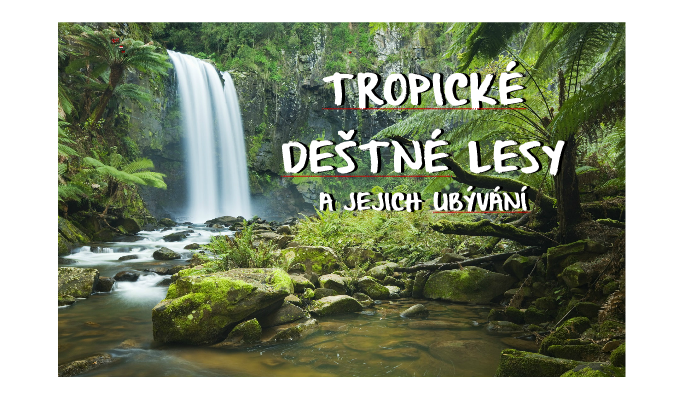 TROPICKÉ DEŠTNÉ PRALESY by Daniel Král on Prezi