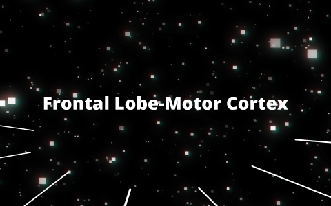 Frontal Lobe-Motor Cortex by Erin Cagler on Prezi