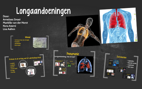 Longaandoeningen by Anneloes Snoei