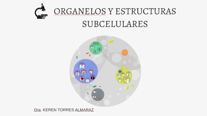 ORGANELOS Y ESTRUCTURAS SUBCELULARES by keren Torres Almaraz on Prezi