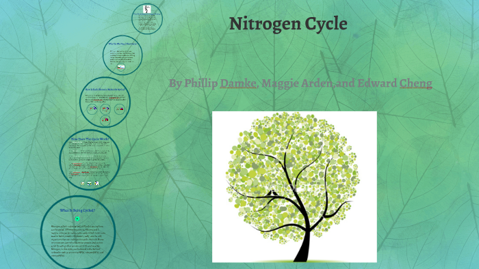What Is Being Cycled? by Phillip Damke on Prezi