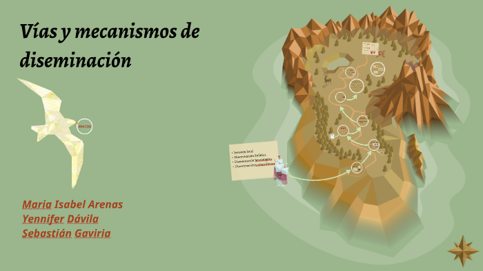 VIAS Y MECANISMOS DE DISEMINACION by Yennifer Dávila on Prezi