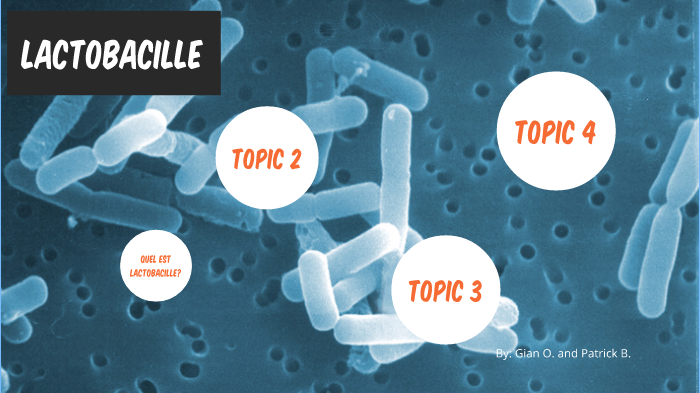 LACTOBACILLE by Gian Ocampo on Prezi