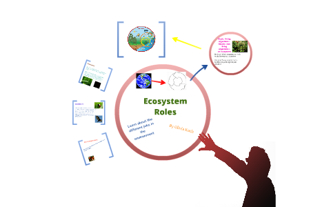 Roles in the Ecosystem by Olivia Koch