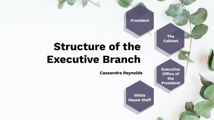 Structure of the Executive Branch by Cassandra Reynolds on Prezi