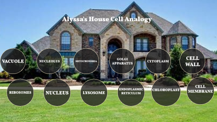 Cell Analogy- House by TMS2021 AlyssaM on Prezi