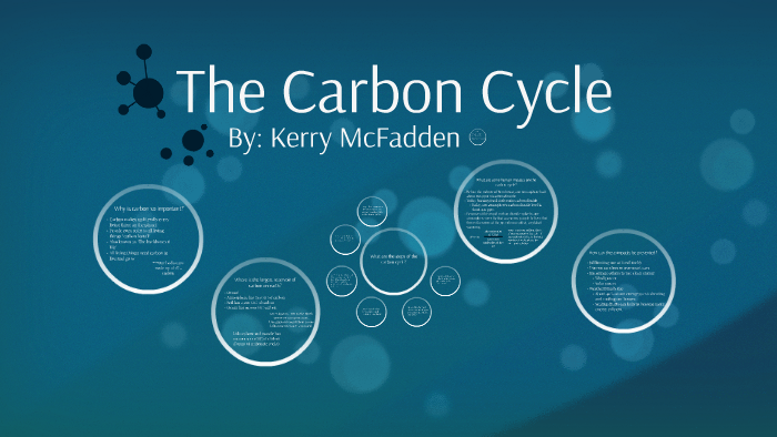 The Carbon Cycle by Kerry McFadden on Prezi