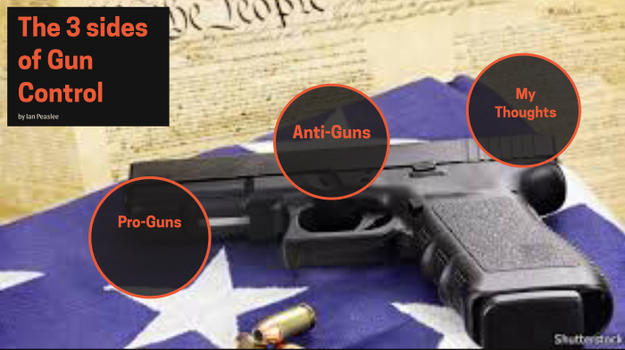 The 3 Sides of Gun Control by Ian Peaslee on Prezi