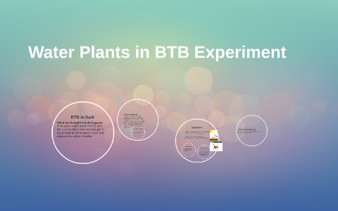 Water Plants in BTB Experiment by SYLVIE DWORSHAK on Prezi