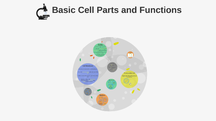 Basic Cell Parts and Functions by Sara Stalder on Prezi