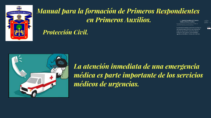 Manual para la formación de Primeros Respondientes en Primer by ...