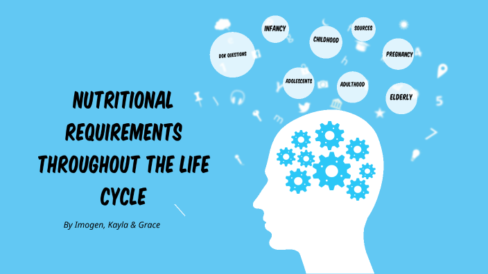 Nutritional requirements throughout the life cycle by Kayla Wilton on Prezi