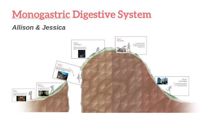 Monogastric Digestive System by Allison Heller on Prezi
