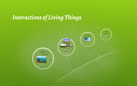 Interactions of Living Things by on Prezi