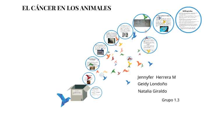 EL CANCER EN LOS ANIMALES by jennifer herrera on Prezi