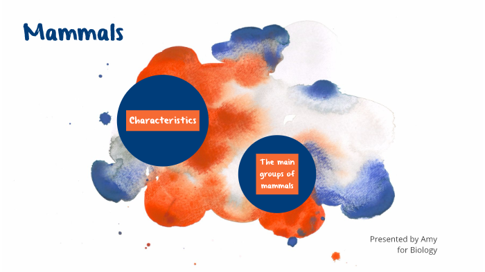 Mammals by Amy Richert on Prezi
