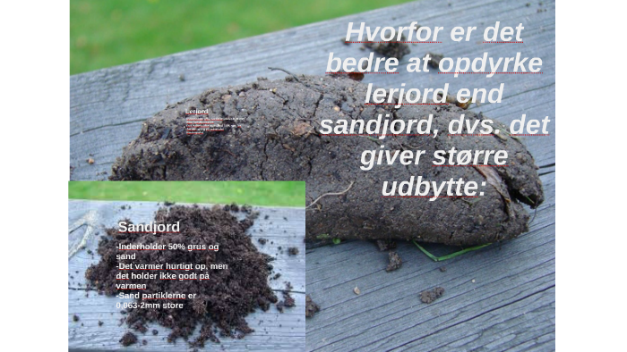 Hvorfor er det bedre at opdyrke lerjord end sandjord, dvs. d by Pelle ...