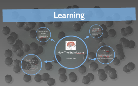 How The Brain Learns by on Prezi