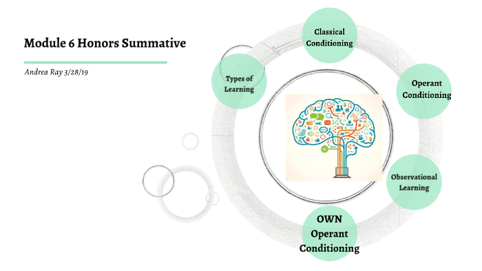 Module 6 Honors Summative Psychology by Andrea Ray on Prezi