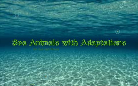 Ocean Animal Adaptations by Grace Horton on Prezi