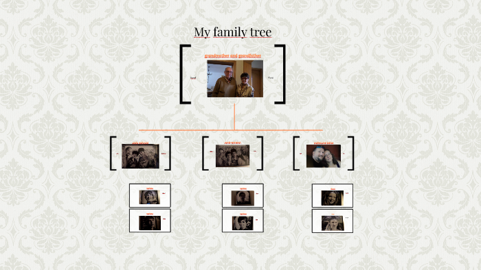 My family tree by Anna Ipers on Prezi