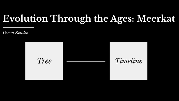 Evolution of Meerkats by Owen Keddie on Prezi
