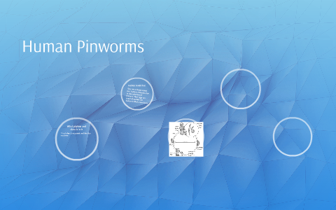 Human Pinworms by Guille Cruz on Prezi