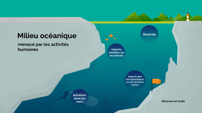 Enjeux environnementaux : milieu océanique menacé par les activités ...