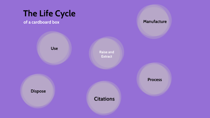 cardboard box life cycle by Makayla Baines on Prezi