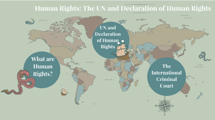 Human Rights: The UN and Declaration of Human RIghts by Christopher ...
