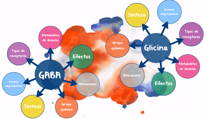 GABA y GLICINA by Alejandro Juárez on Prezi