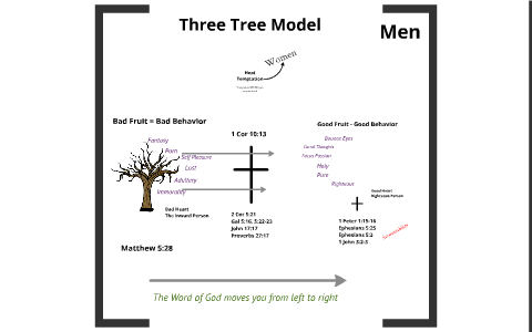 Three Tree Model by C Snyder on Prezi